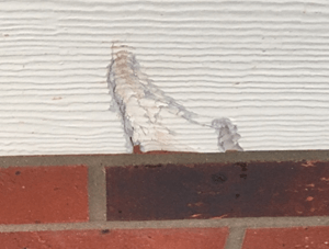 Wall Cladding Repair Specialists